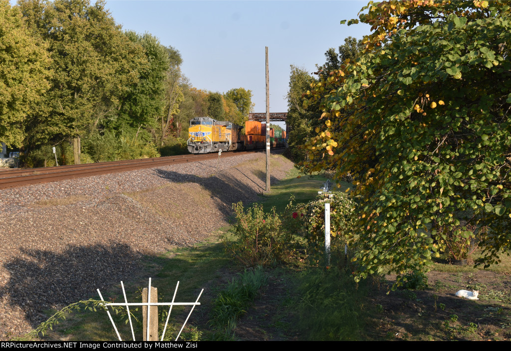 UP 7231 6017 and a Cat